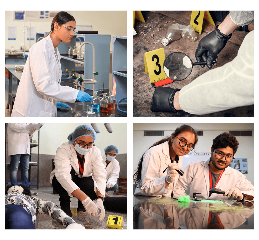 M.Sc. Forensic Science Course, Fees | M.Sc. College in Gurugram