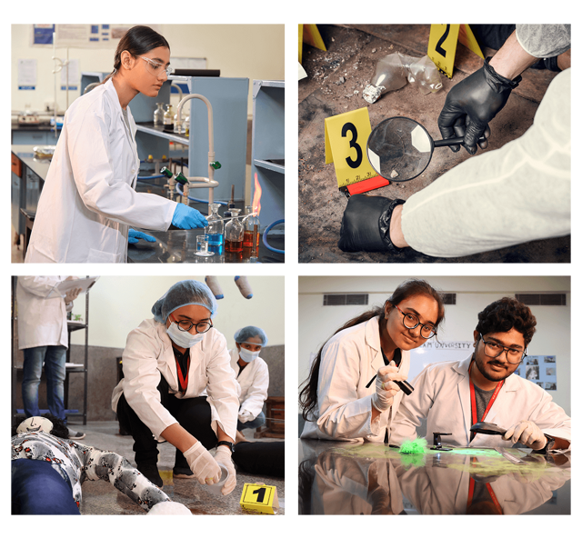 M.Sc. Forensic Science Course, Fees | M.Sc. College in Gurugram