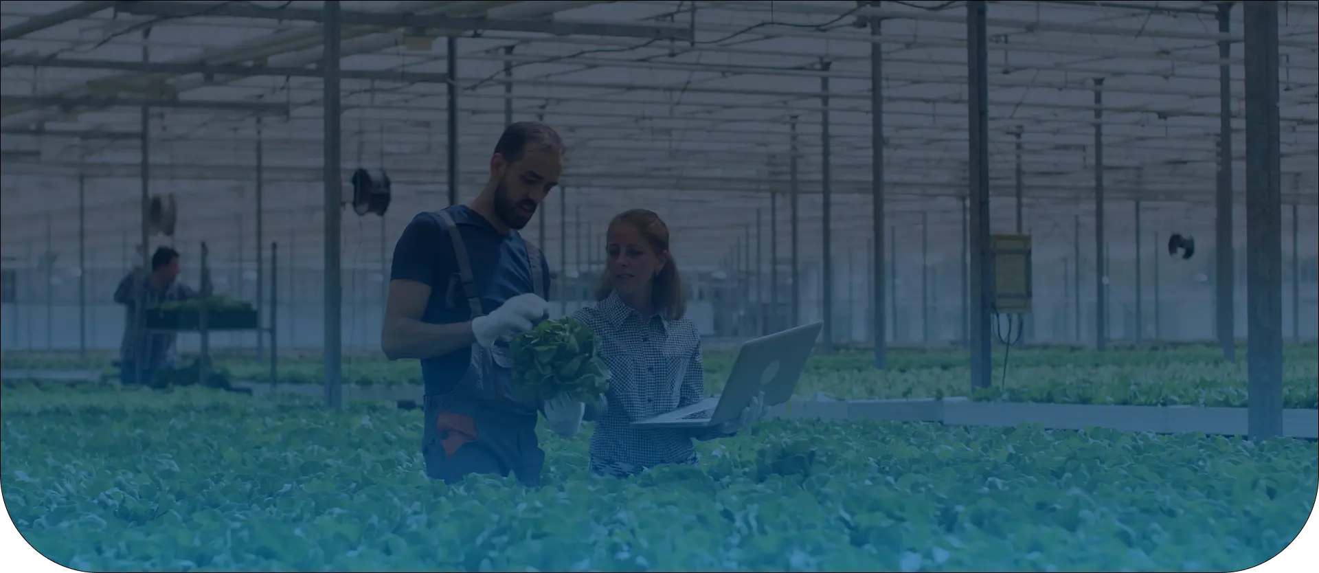 BSc Hons Agriculture Course Details, Eligibility, Fees, Career ...
