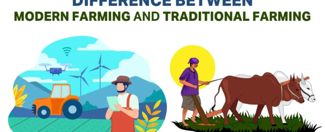 Modern Farming Archives - krmangalam